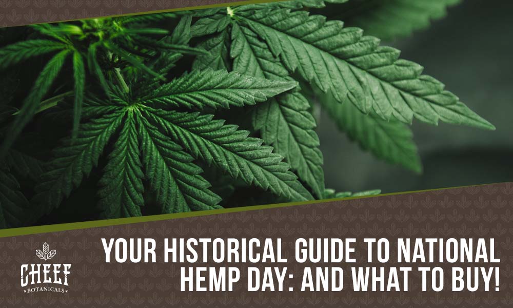 National Hemp Day: The Best Way To Celebrate Is To Stock Up! | Cheef ...